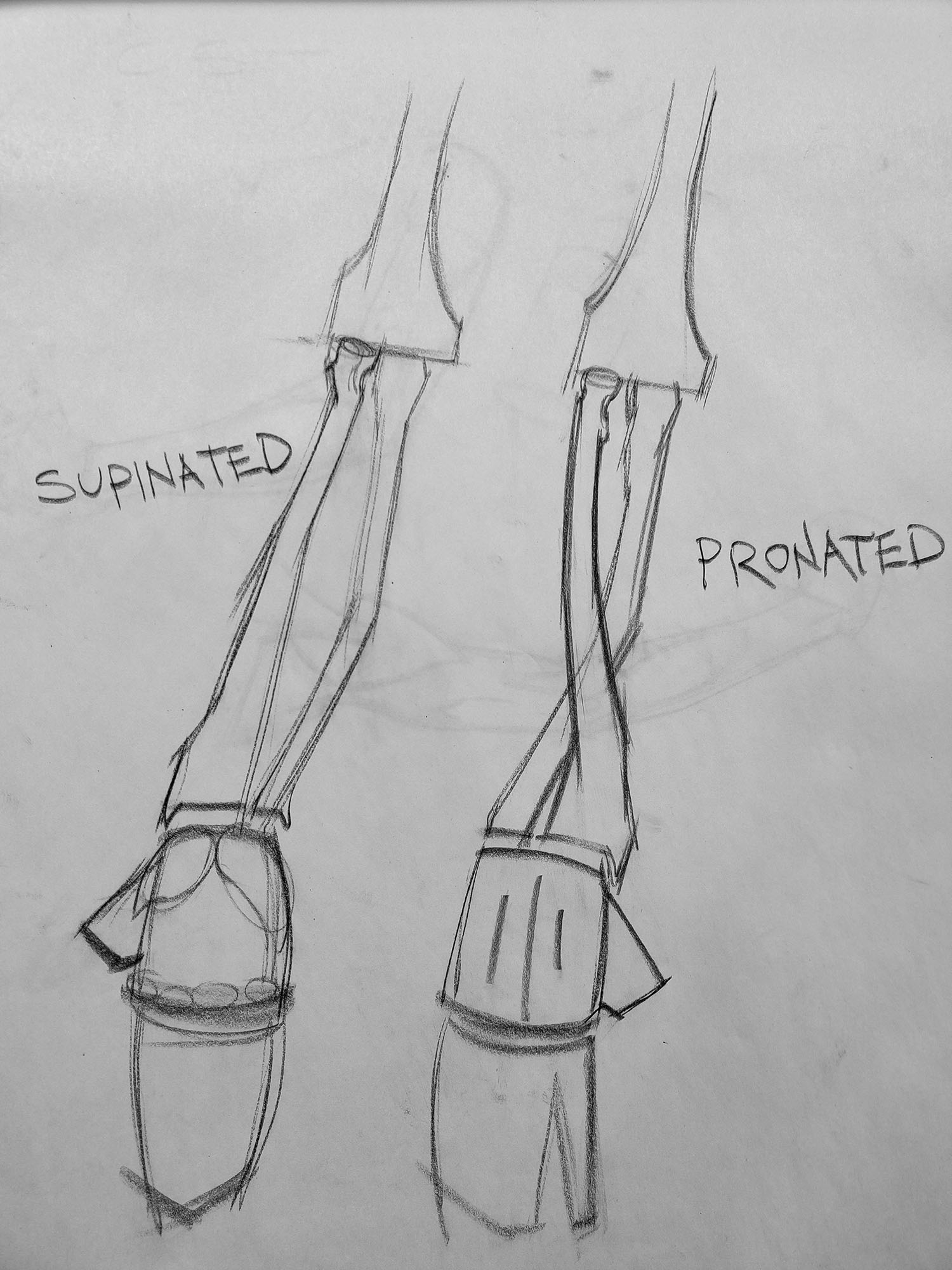 Term 4-25 – Anatomy Fundamentals – Arms and Legs - Watts Atelier