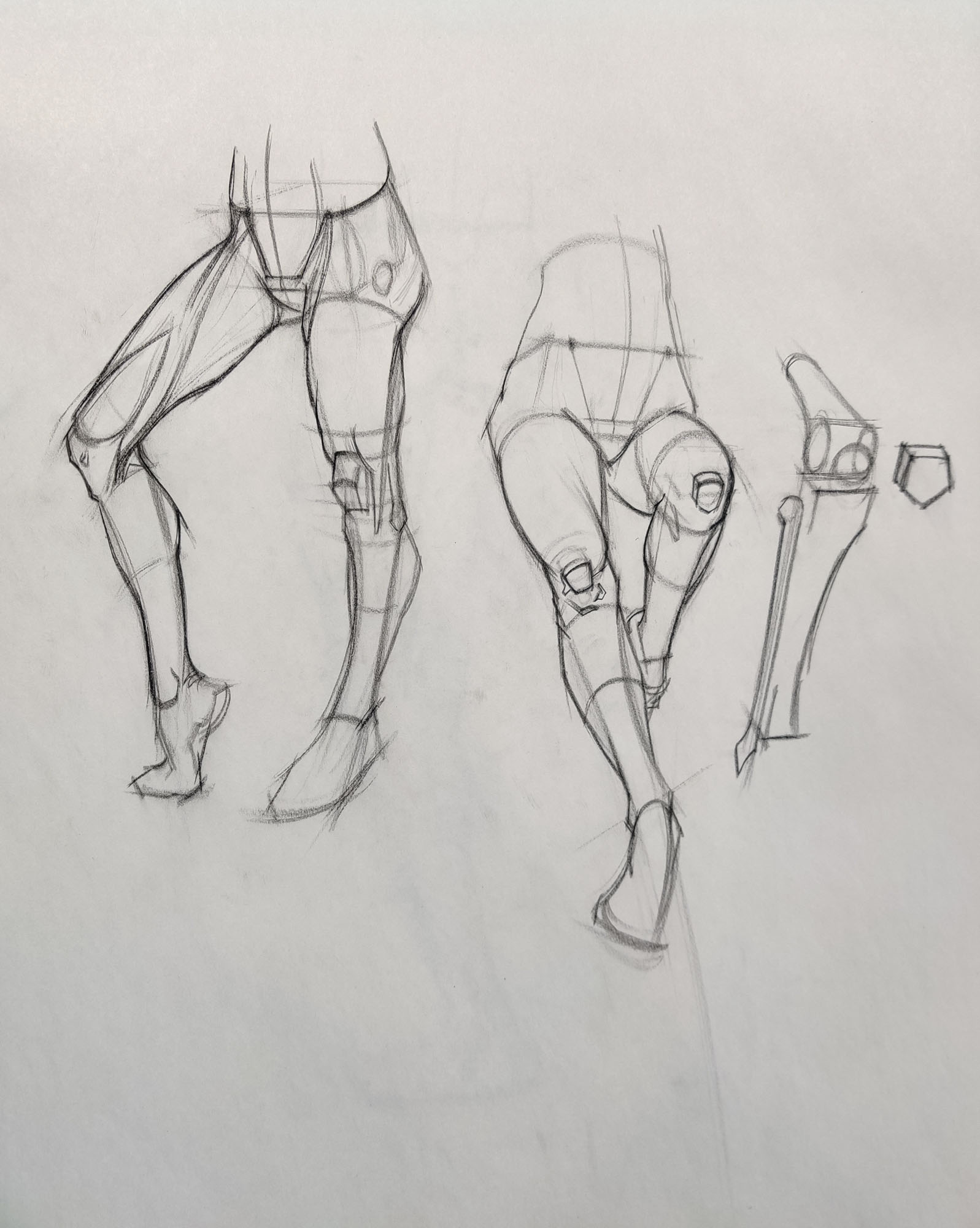 Term 4-25 – Anatomy Fundamentals – Arms and Legs - Watts Atelier