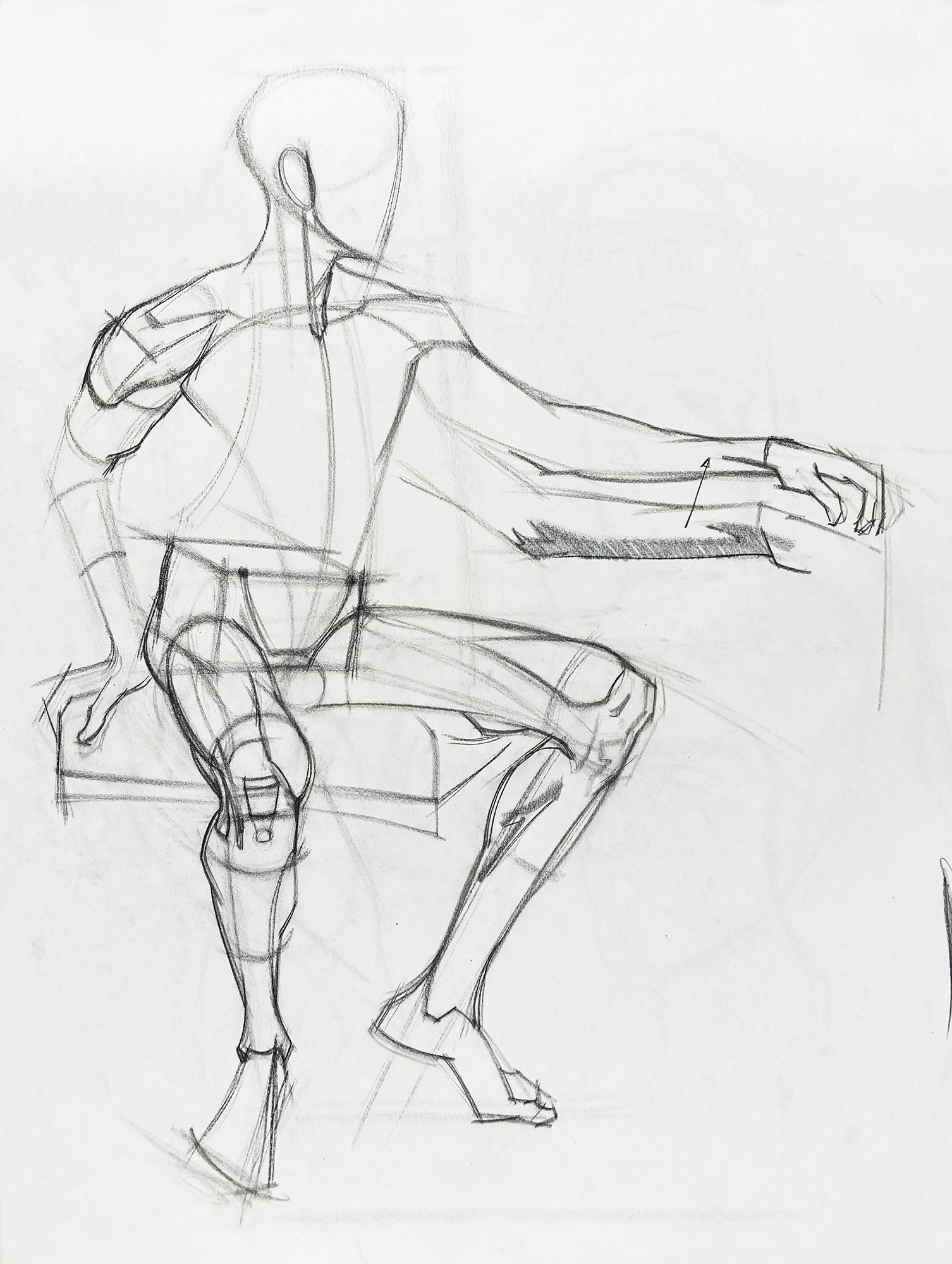 Term 4-25 – Anatomy Fundamentals – Arms and Legs - Watts Atelier