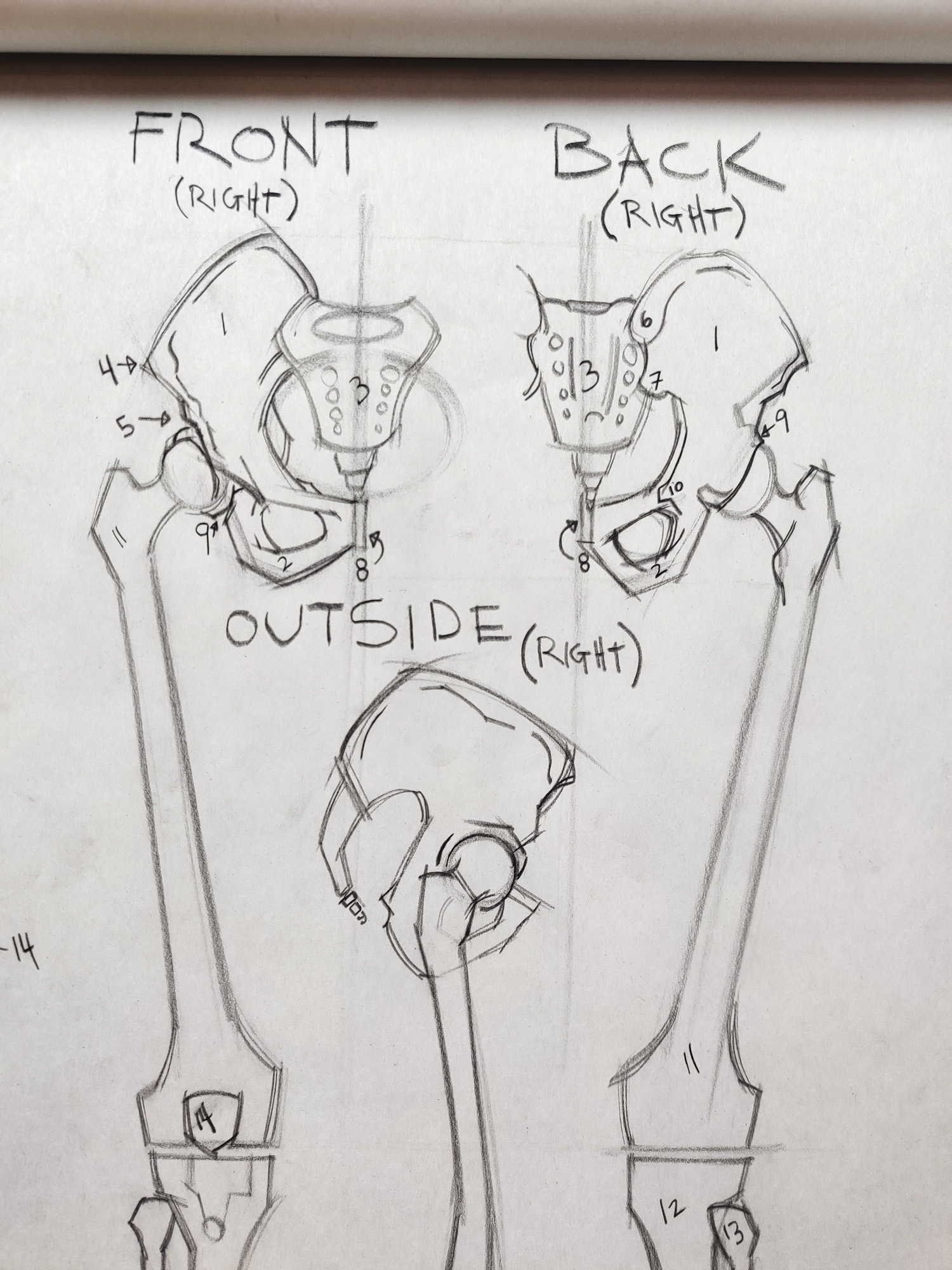 Term 4-25 – Anatomy Fundamentals – Arms and Legs - Watts Atelier
